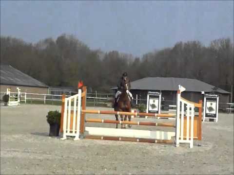 Groenraven's Viando Zilfia's Hoeve