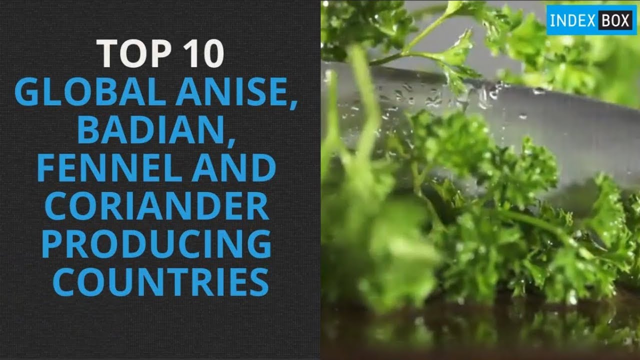 Top 10 Global Anise, Badian And Fennel Producing Countries - YouTube