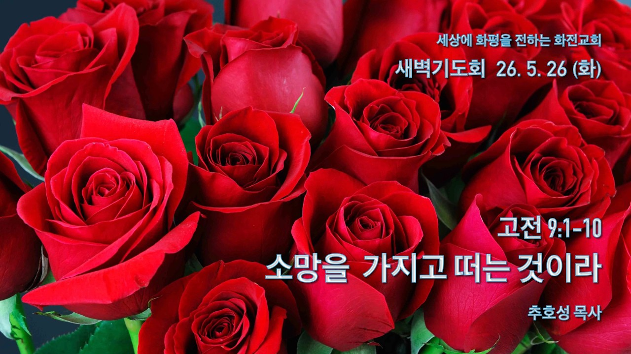 새벽기도회 _ 세상에 화평을 전하는 화전교회 (26.5.25 월) - YouTube