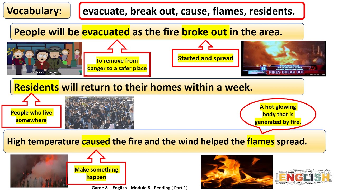 Grade 8 English Module 8 Reading A news article 1 - YouTube