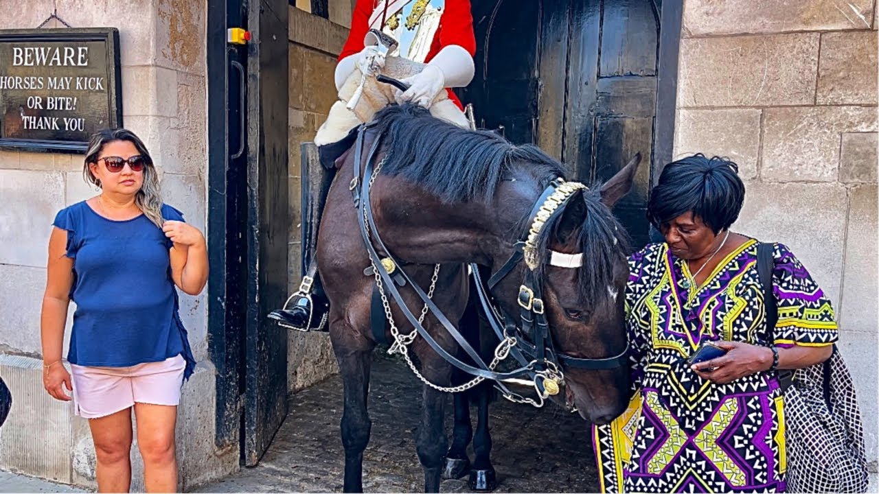 Watch Kings Guards And Horses Take Entertainment to the 🔝 Even in ...