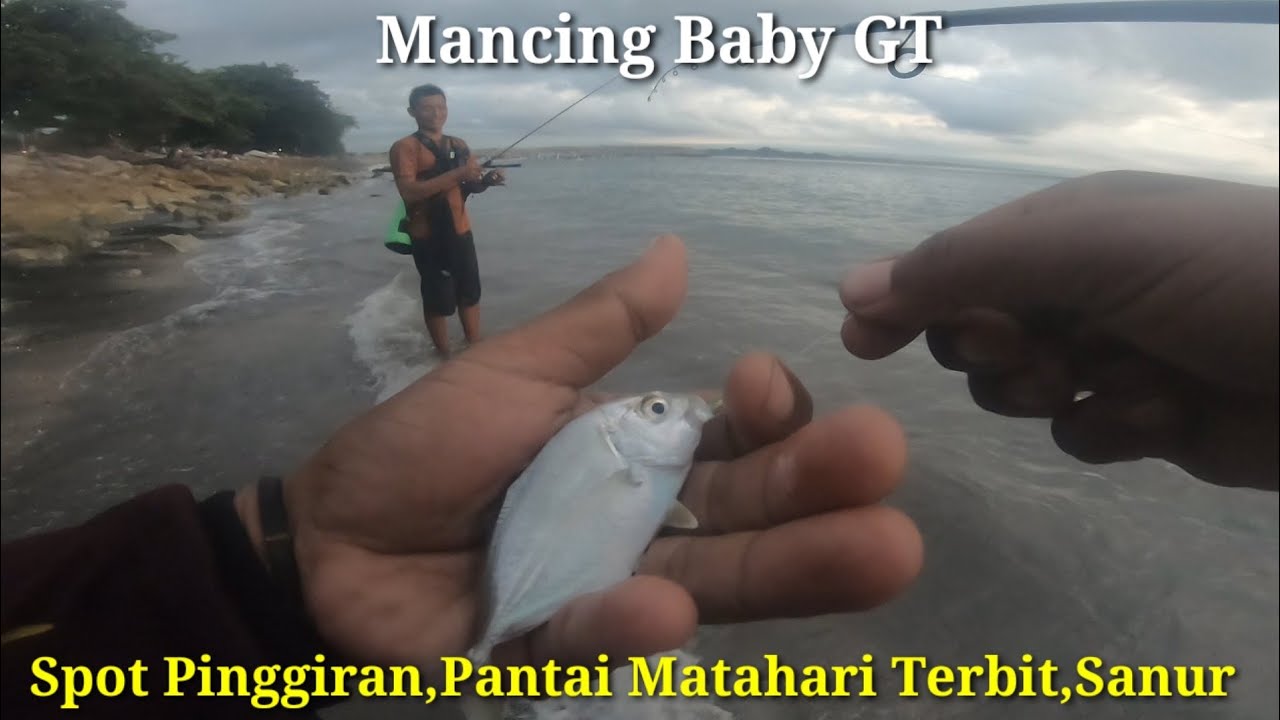 MANCING BABY GT,DI SPOT PINGGIRAN,PANTAI MATAHARI TERBIT,SANUR - YouTube