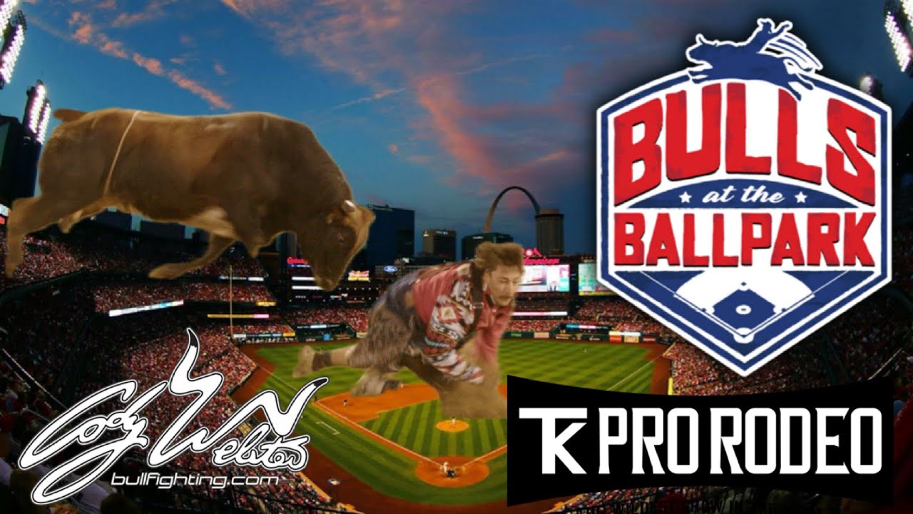 “Bulls in the Ball Park” - Cody Webster x TK Pro Rodeo - YouTube