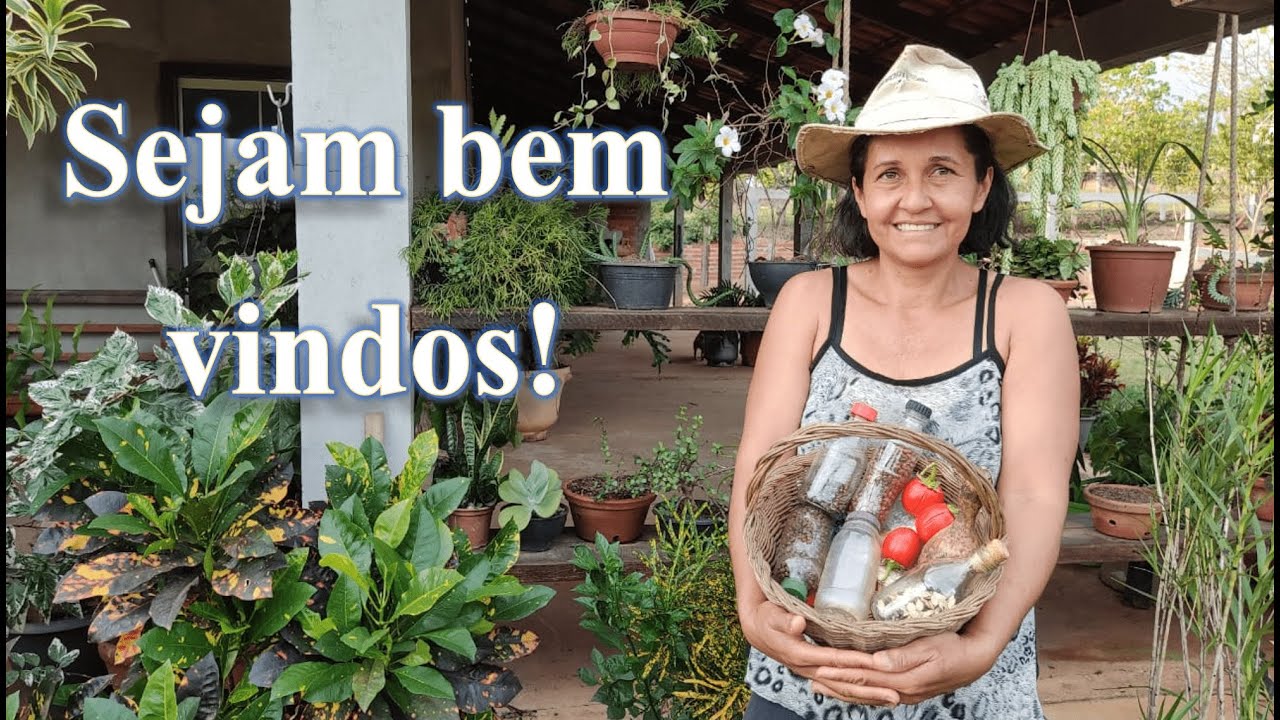 Como guardar sementes - YouTube