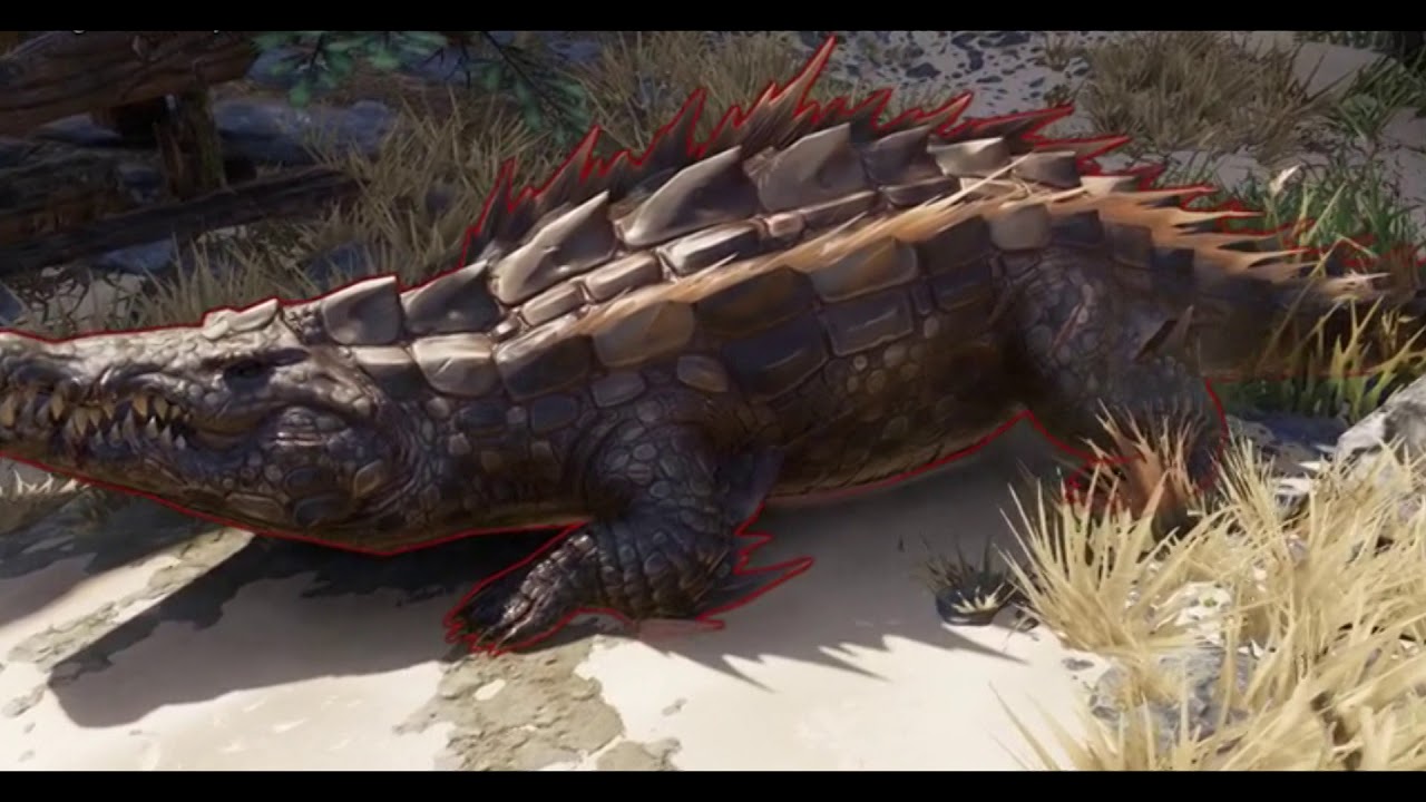 Divinity: Original Sin 2 Highlights - YouTube
