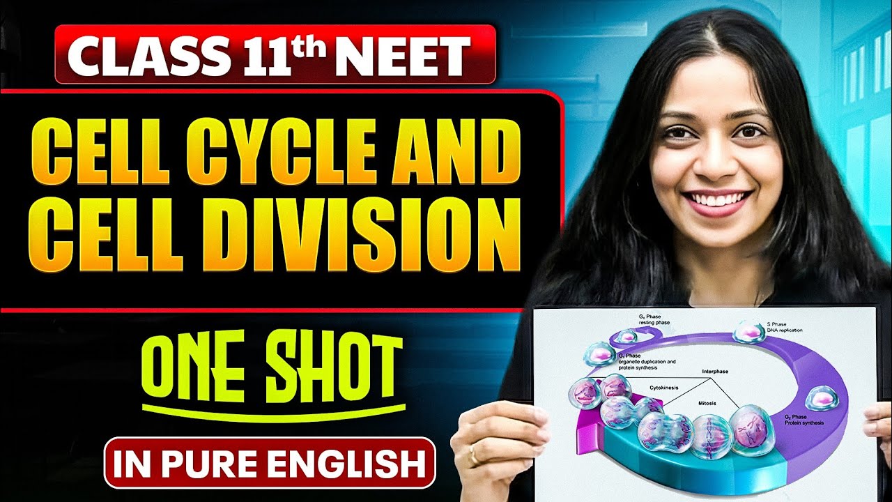 CELL CYCLE AND CELL DIVISION | Class 11th ONE SHOT | Complete NEET ...