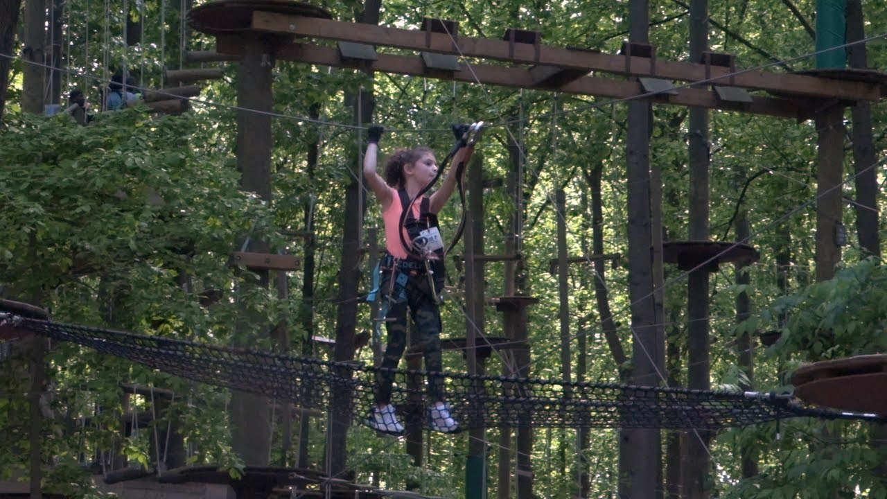 Tree Trekkers - Business Appreciation Week 2022 - YouTube