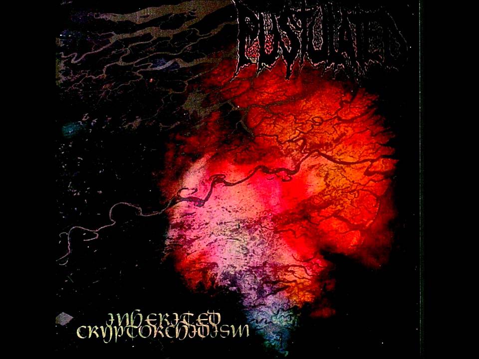 Pustulated - Inherited Cryptorchidism Pt.1 - YouTube