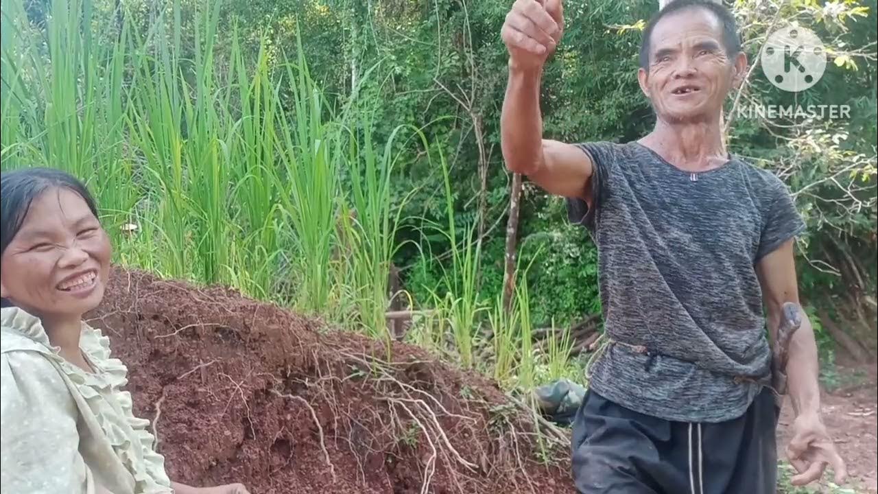 hnub no ntxhiav niam ntxhiav txiv peb mus xov laj kab teb npleg os 5/9/2024 - YouTube