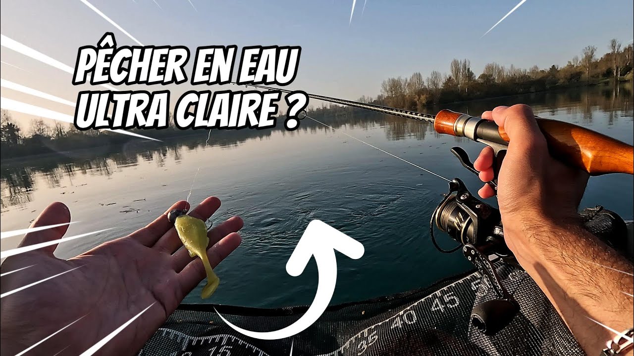 On pêche EN VERTICALE dans une eau ULTRA CLAIRE des BEAUX POISSONS (sandres et perches) ! - YouTube