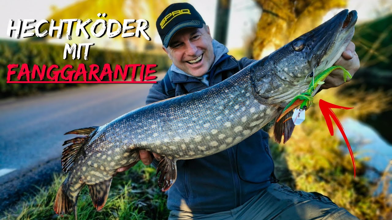 Mit diesen KÖDERN fängst du garantiert VIELE Hechte - Jan Pusch zeigt ...