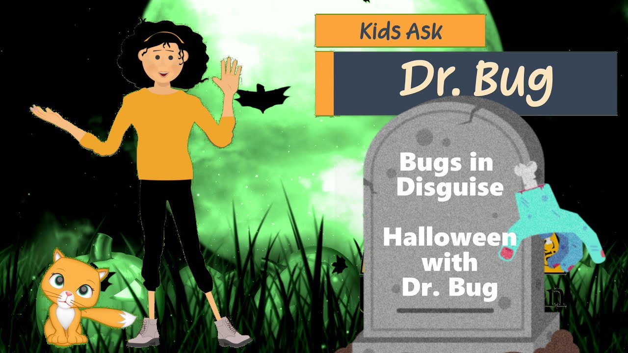 Bugs in Disguise / with Dr. Bug and Kids Ask Dr. Bug! - YouTube