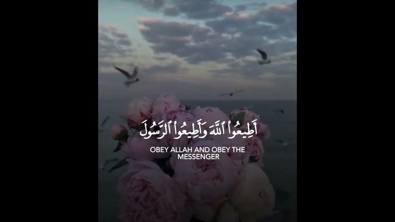 { يَا أَيُّهَا الَّذِينَ آمَنُوا أَطِيعُوا اللَّهَ وَأَطِيعُوا