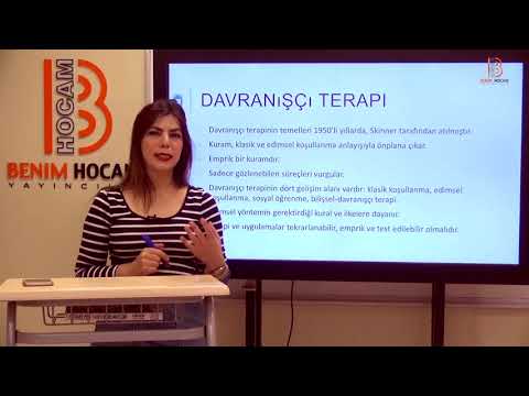 20) Ayşegül ALDEMİR - Psikolojik Danışma Kuramları - XX (ÖABT-PDR)2019