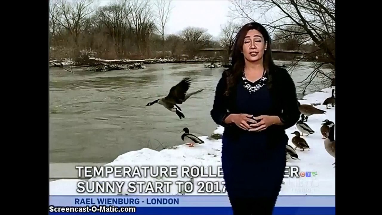 Reta Ismail - CTV London 6pm News - Dec 31, 2016 - YouTube