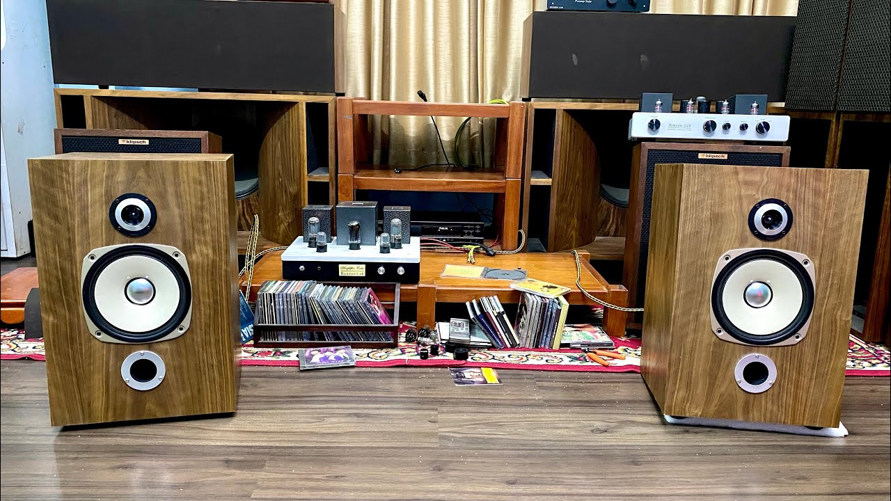 407-Loa toàn dãi Fostex lên thùng DIY,Fostex FE225K-siêu treble FT17H ...