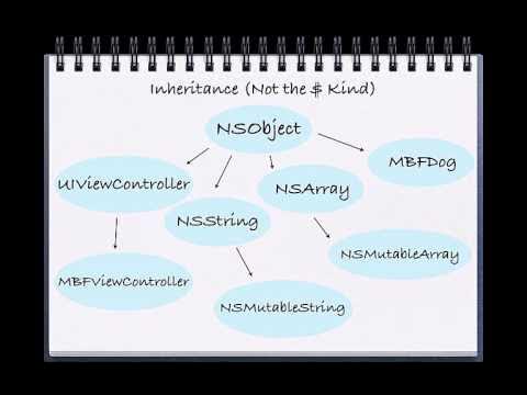 How to Use Inheritance in Objective C - Tutorial 38 - YouTube