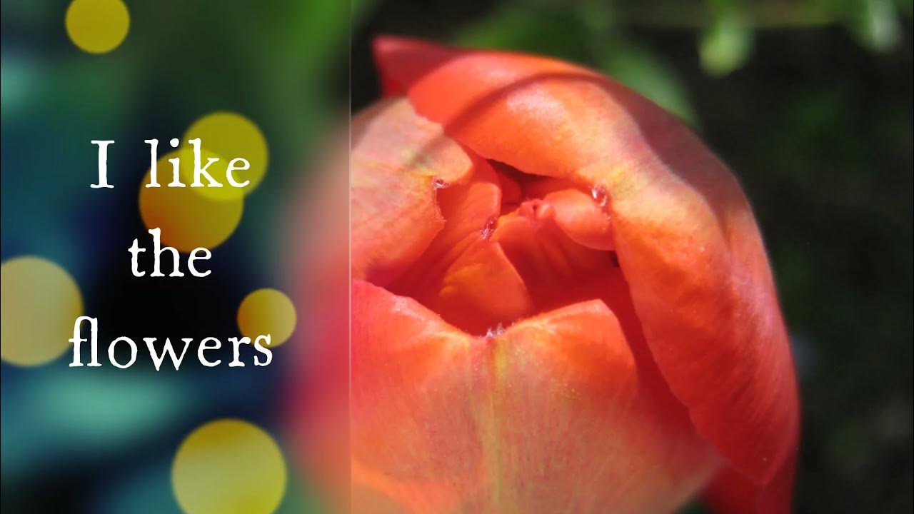 I like the flowers - YouTube