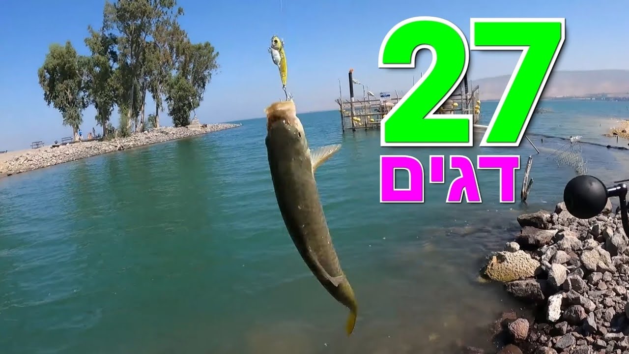 27 דגים יום מטורף | 27 fish great fishing day - YouTube