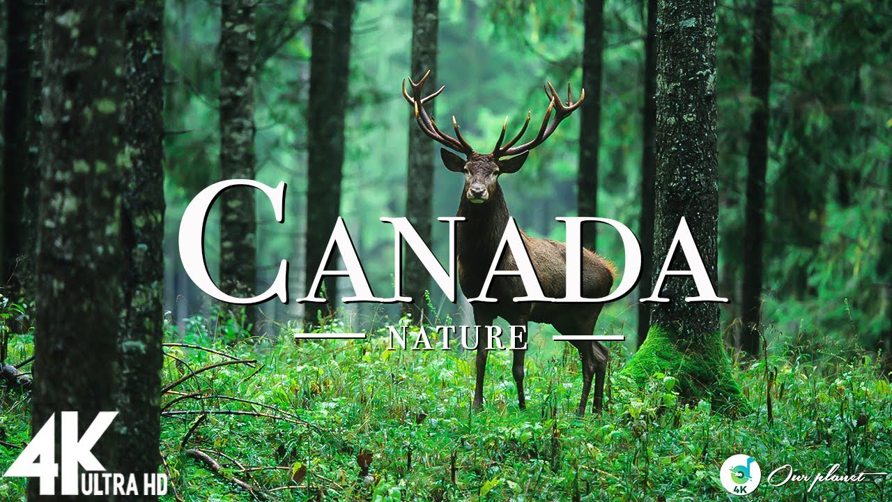 Canada 4K - Relaxing Music Along With Beautiful Nature Videos (4K Video ...