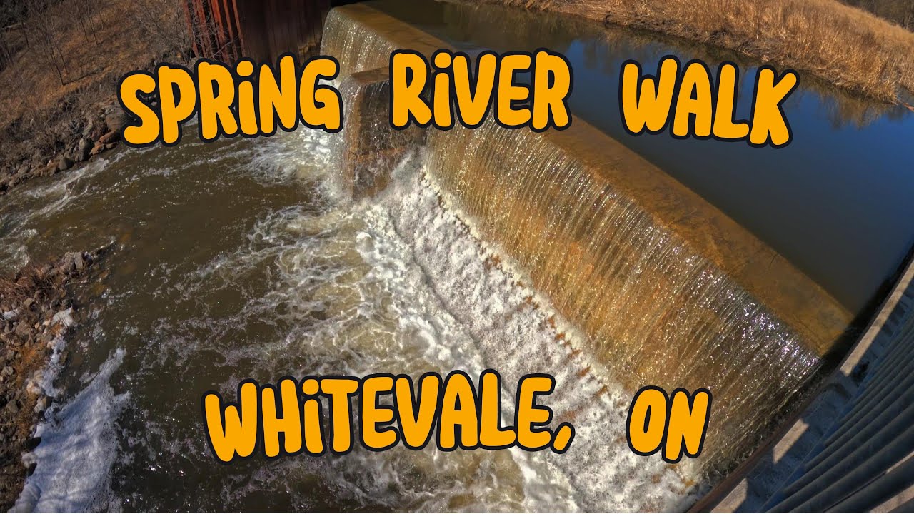 No Trail, Just River - Exploring Whitevale - YouTube