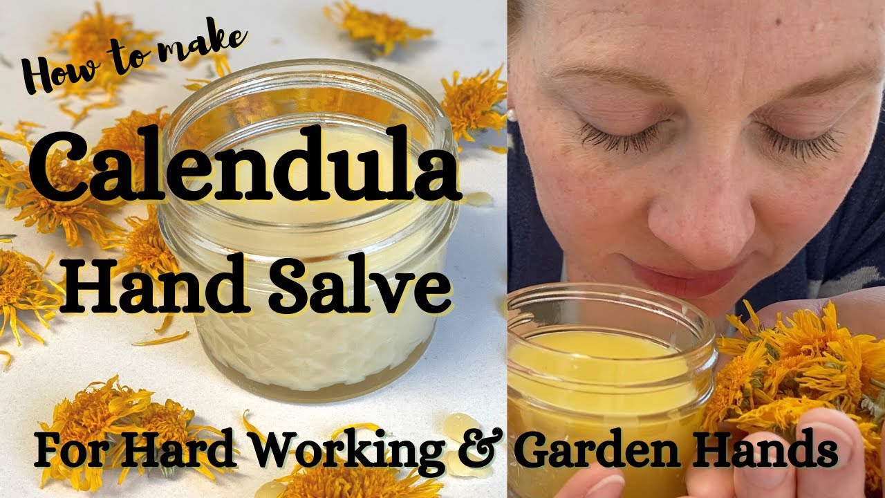 DIY Calendula Hand Salve - Perfect for Hard Working & Garden Hands ...