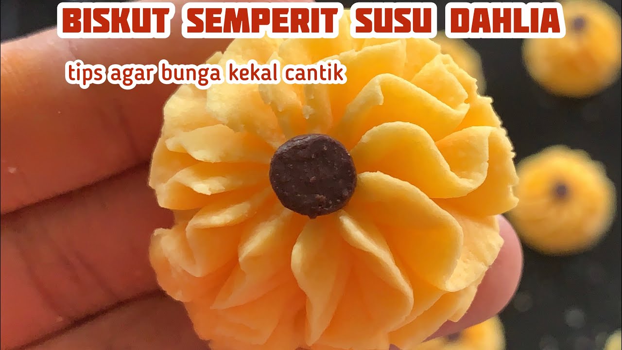 Cara membuat biskut semperit susu @ dahlia susu | tips supaya bunga ...