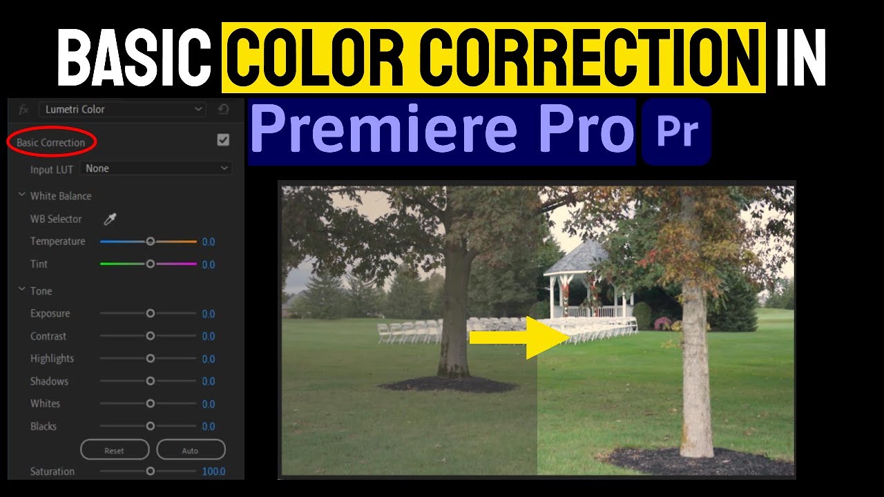 Basic Color Correction In Premiere Pro Tutorial In Hindi Urdu YouTube basic-color-correction-in-premiere-pro-tutorial-in-hindi-urdu-youtube