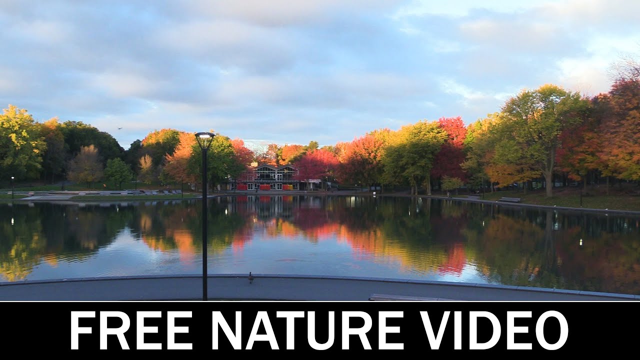 Free Nature Video No Copyright - Free Stock Footage - YouTube
