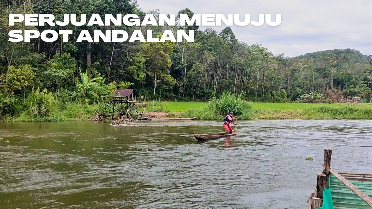 Usaha Berbuah Hasil !! Spot Mancing yang Benar-Benar Tepat - YouTube