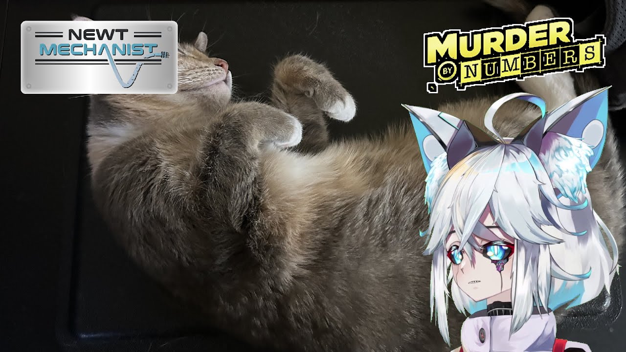 Mathematical Murder Highlights | Murder By Numbers with the Cats - YouTube