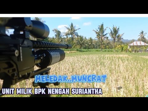 RTXX ..POLYMAX A12 L...BST 15 GR MK3 980 FPS MILIK BPK NENGAH SURIANTHA...MELEDAKKK - YouTube