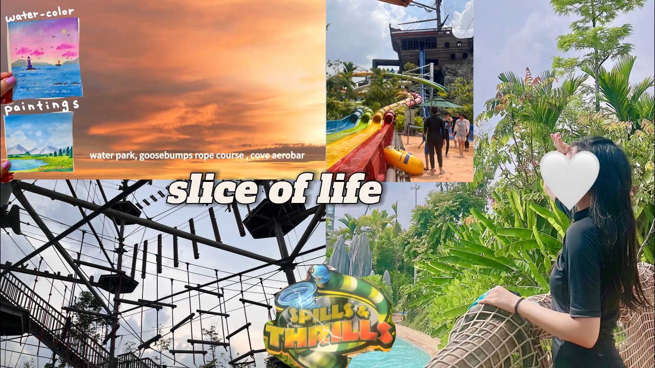 Thrilling Water Park & Rope Course Adventure Cove Aerobar Sky ☁️ | 짜릿한 ...