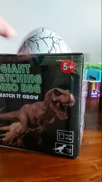 Giant Hatching Dino Egg - YouTube
