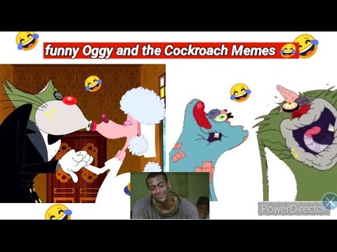 OGGY AND THE COCKROACH FUNNY DARK MEMES 😂 ll #oggy # ...
