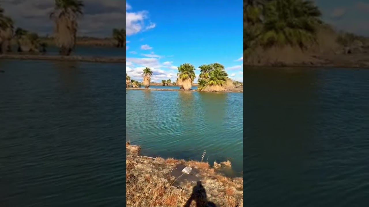 Enjoying Mittry Lake Wildlife area in Arizona. - YouTube
