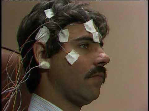 Discovering Psychology: Episode 03 - The Behaving Brain - YouTube