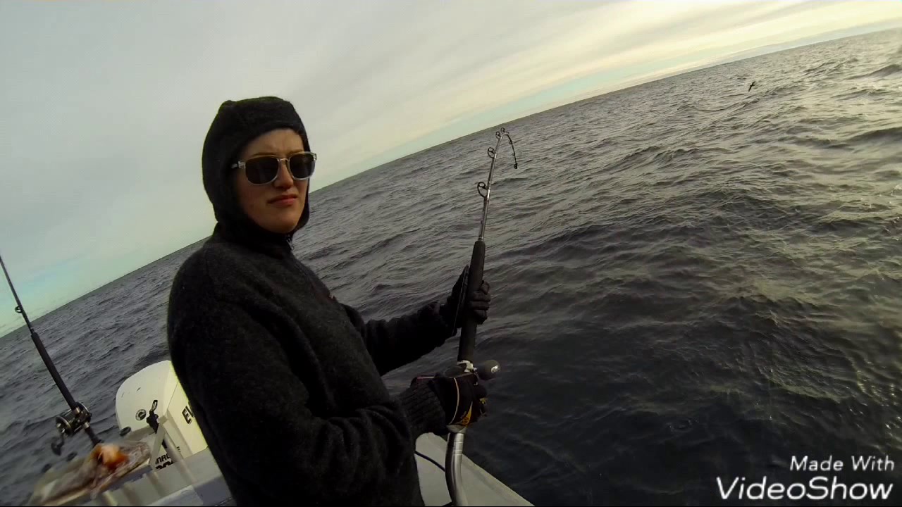 Groper fishing Akaroa New Zealand - YouTube