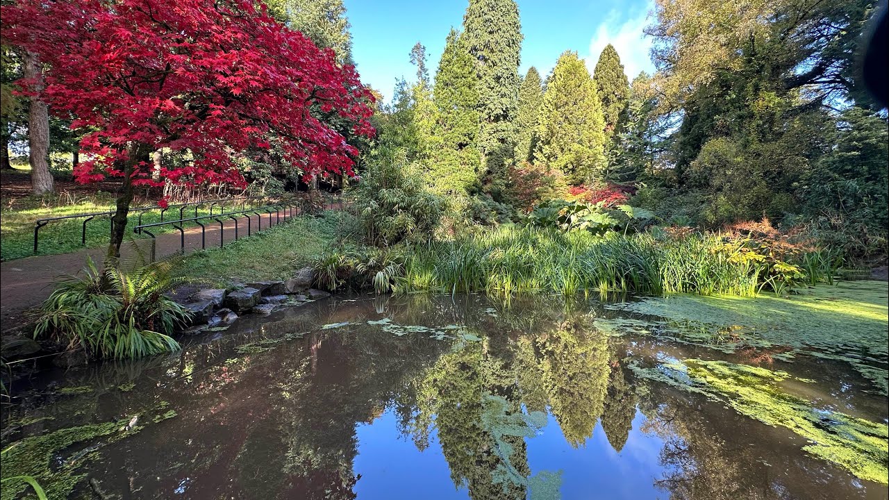 Cefn Onn Park Cardiff Wales in Autumn 2022 - YouTube