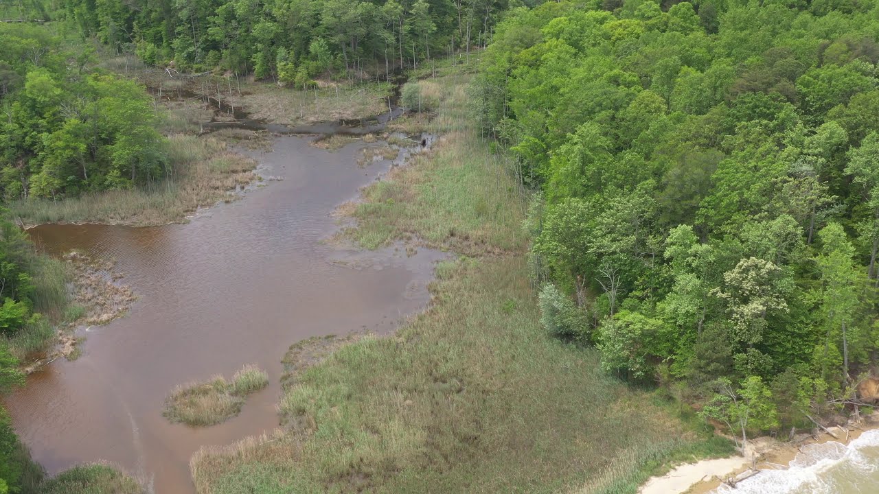 Calvert Cliffs 1 - YouTube