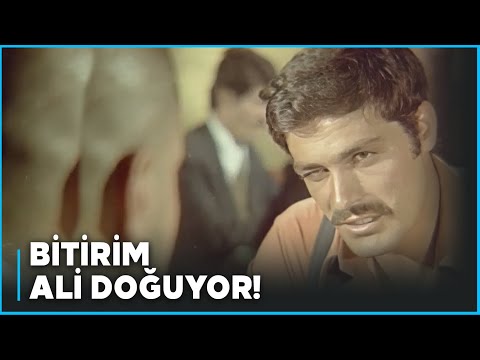 Ceza Türk Filmi | Ali, İntikam Almaya Hazır