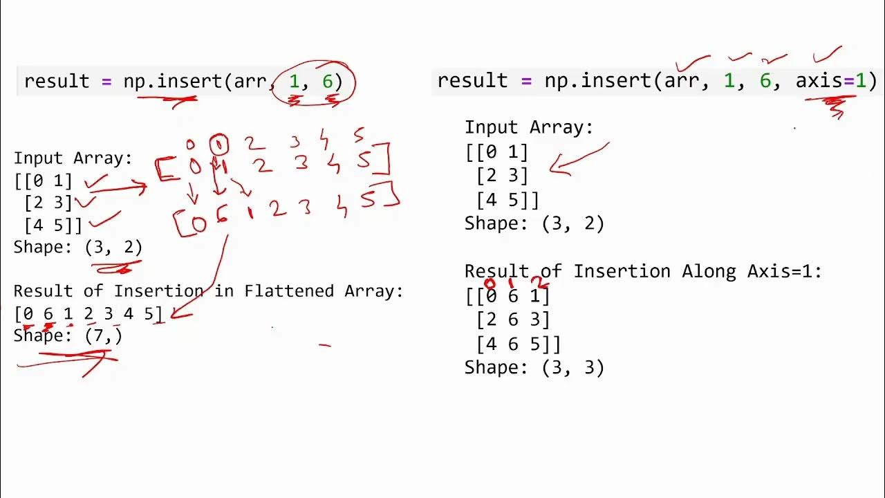 Day 14 Numpy Interview Questions Numpy Array Insert Delete Datascience In Hindi