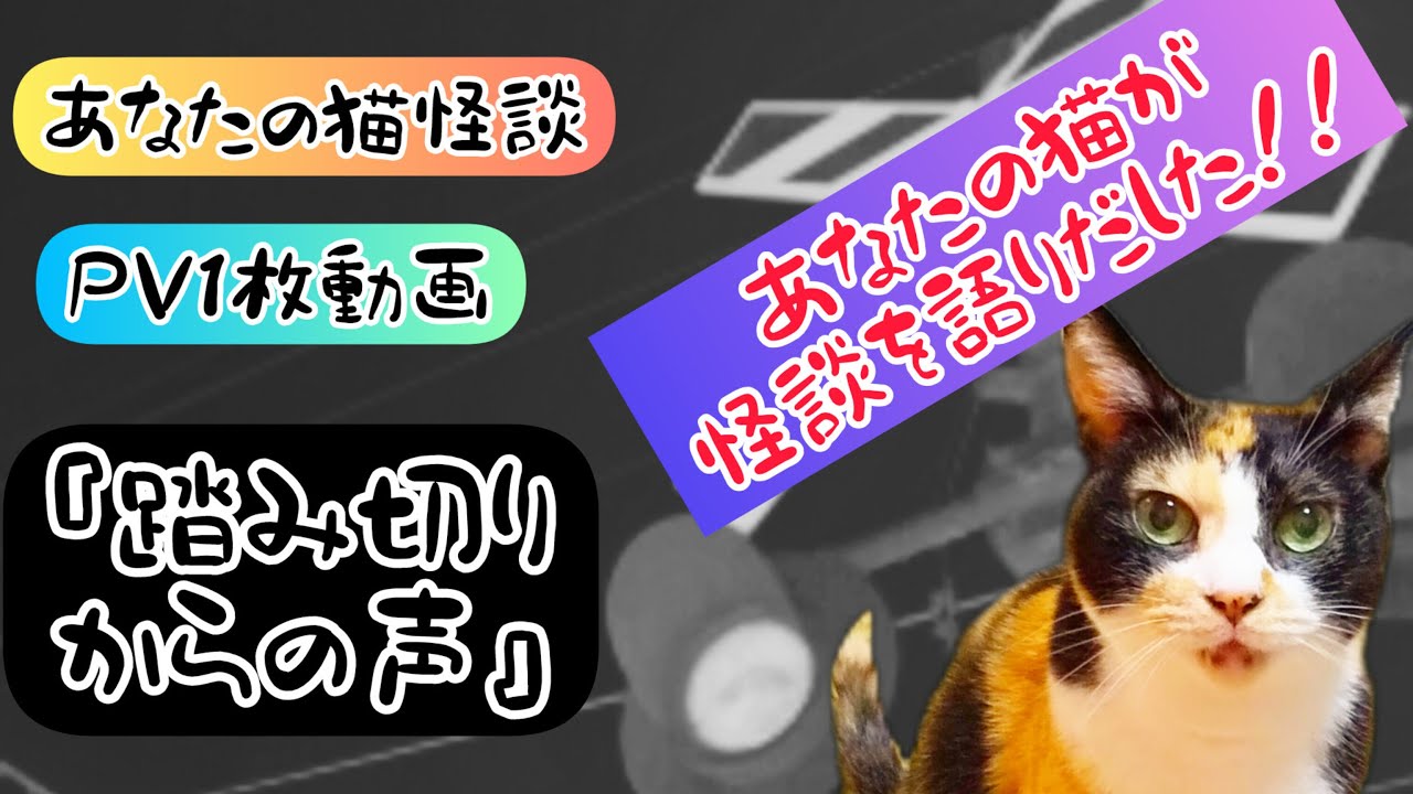 【不思議な話】【猫が語る不思議な話】【猫動画】怪談ねこ語り『踏切からの声』〜メンバーシップ【あなたの猫怪談】pv・おかかちゃんバージョン