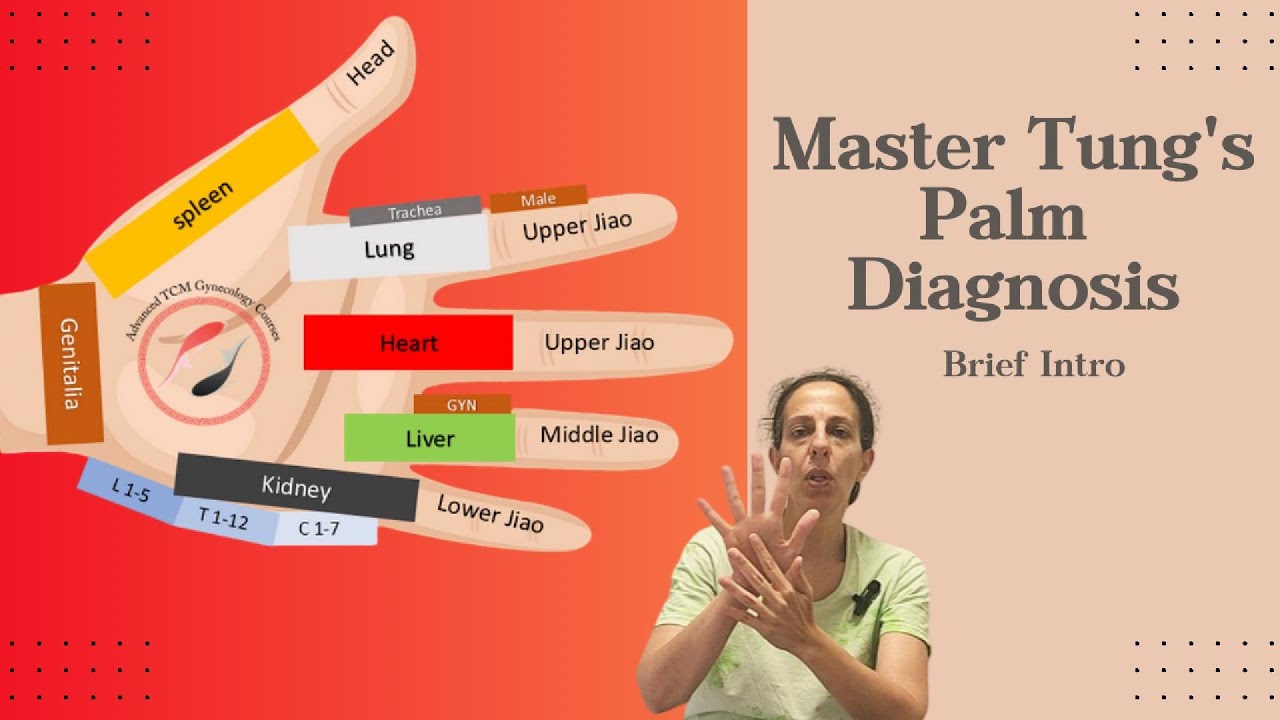 Your Palm Tells the Truth | Master Tung's Hand Diagnosis - YouTube