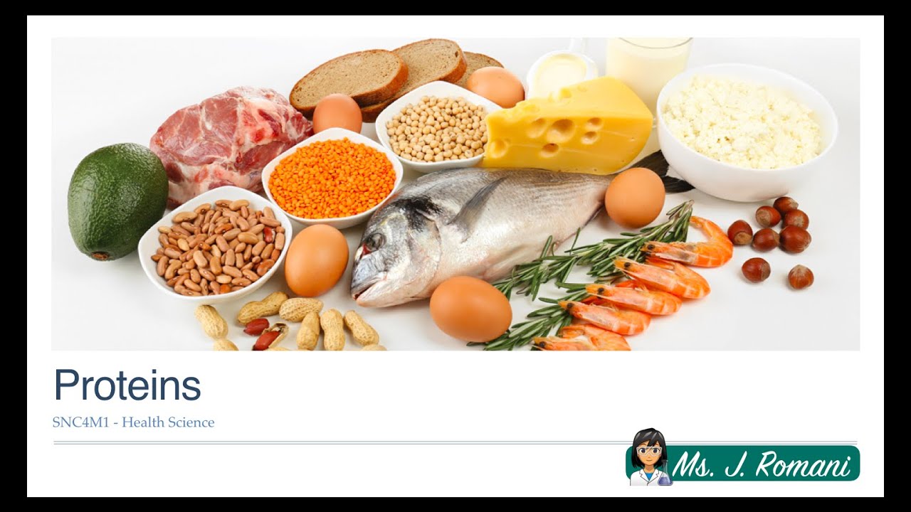 Lesson Video - Proteins - YouTube