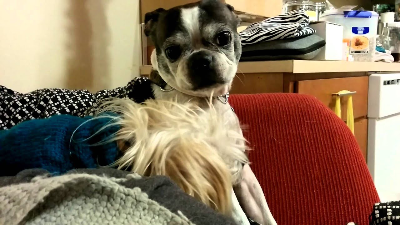 Edward and Ottis: Clean Edition - YouTube