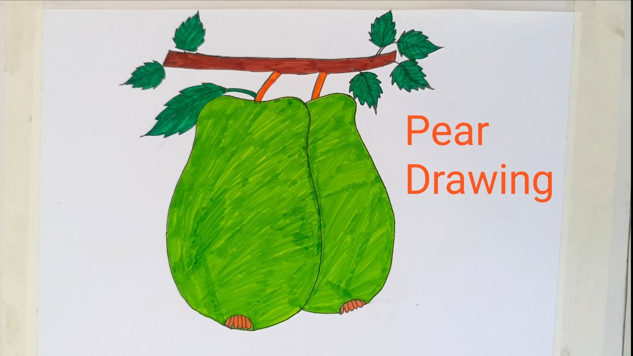 Pear Drawing Video How to drawing a pear - YouTube