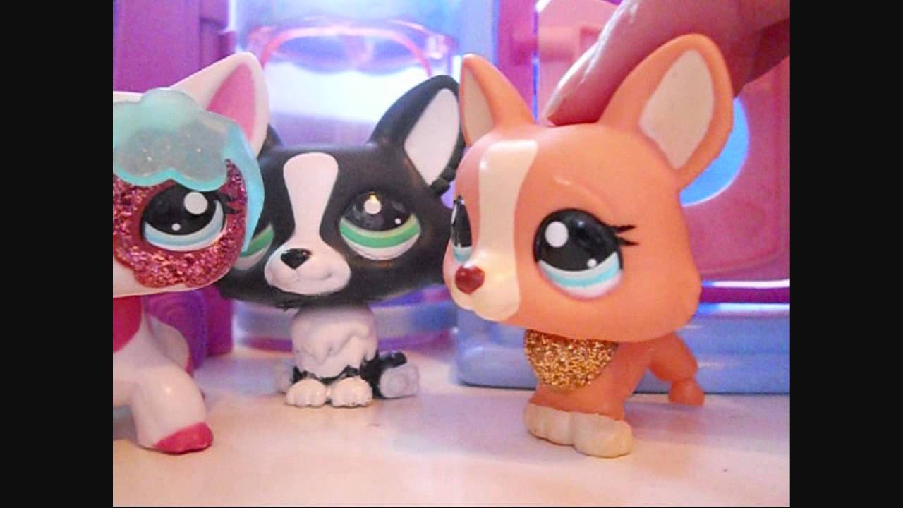 LPS ~ Popular ★ - 8 HD - YouTube