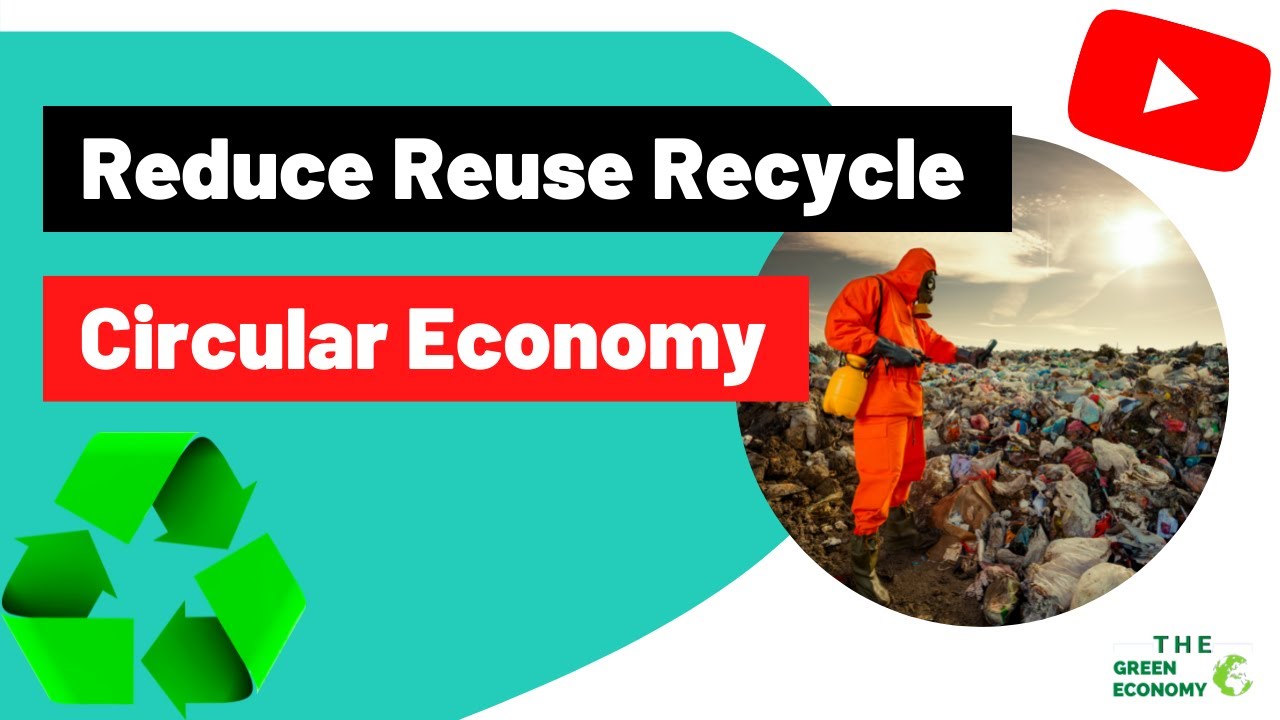 Circular Economy Explained: Sustainability - YouTube