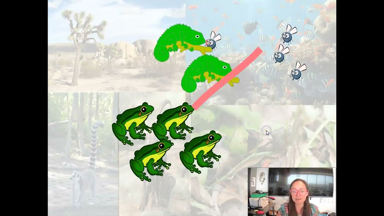 AP Bio Topic 8.5 Community Ecology Part 1: Competition, Niche ...